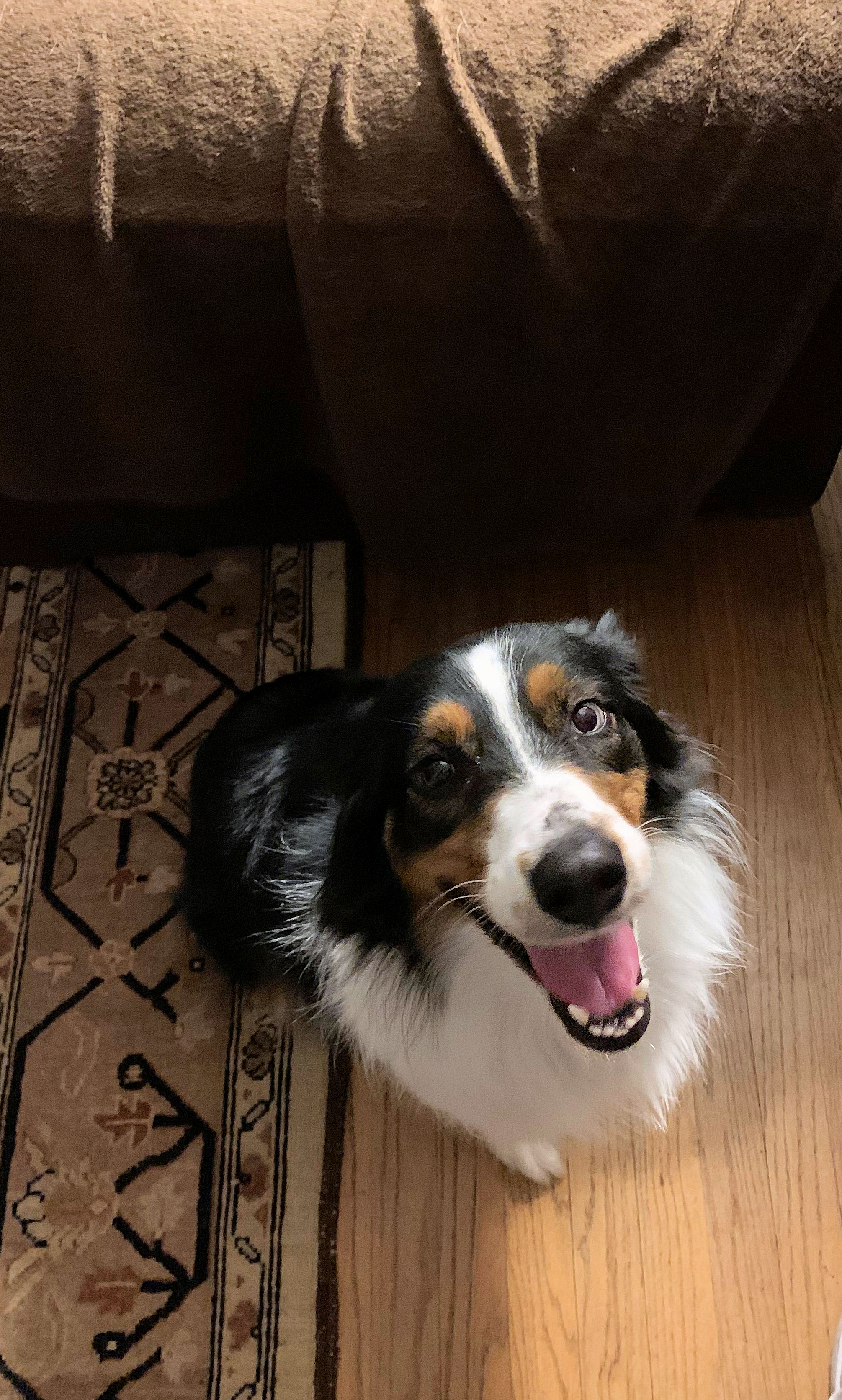 Adventures in Babysitting – The Runcible Existentialist