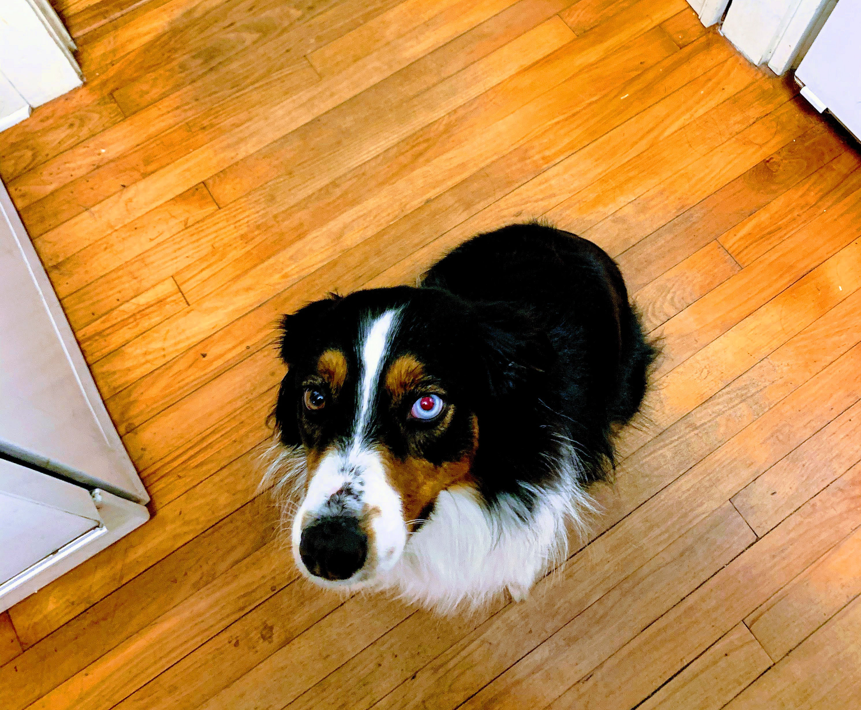 Adventures in Babysitting – The Runcible Existentialist